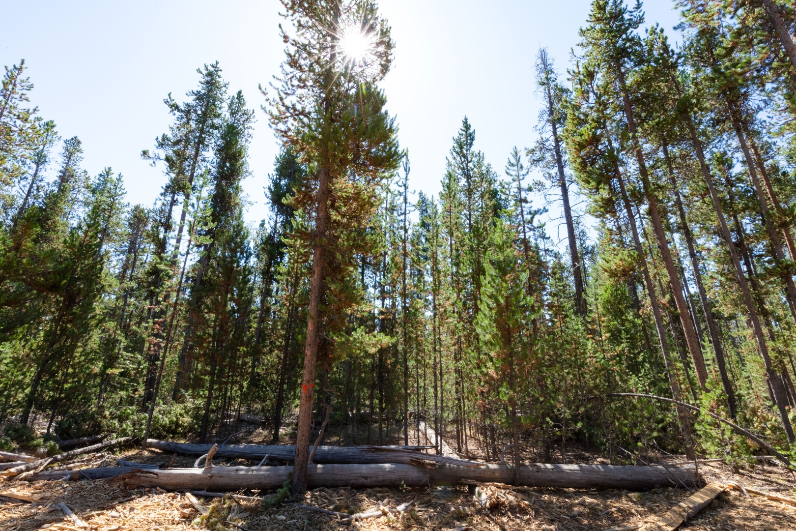Secretaries Haaland and Vilsack Announce Implementation of New Pay ...