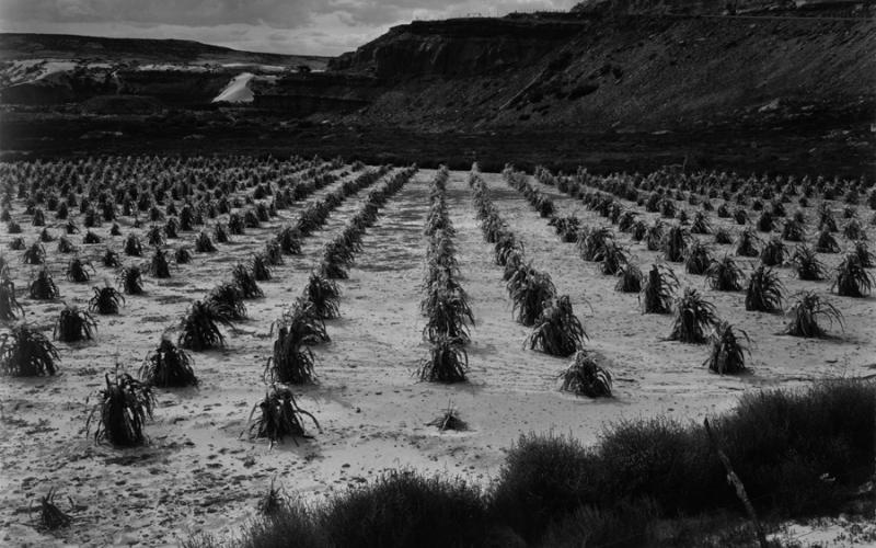 Ansel Adams: The Mural Project 1941-1942 | U.S. Department of the Interior