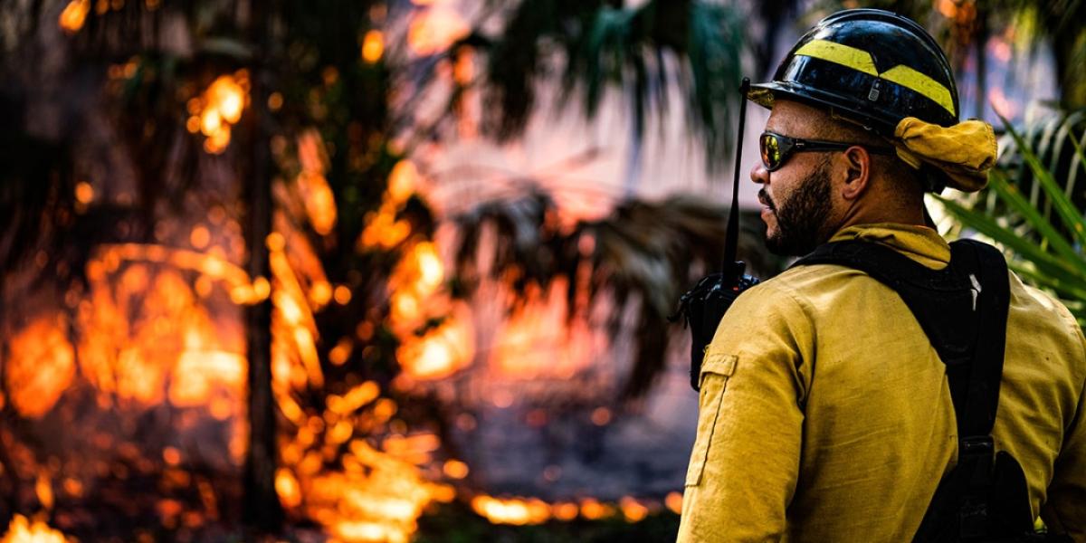 Using the Power of Data to Mitigate Wildfire Risk: Welcome to IFTDSS ...