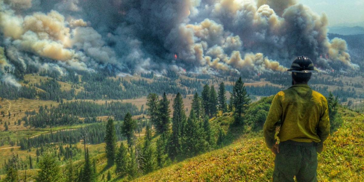 Director’s Report: Shaping Wildland Fire Management for the Future | U ...