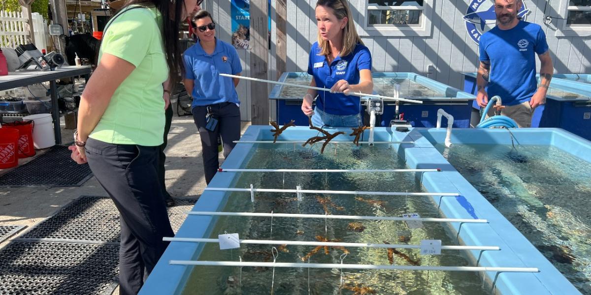 Assistant Secretary Estenoz Celebrates National Park Week, Highlights ...