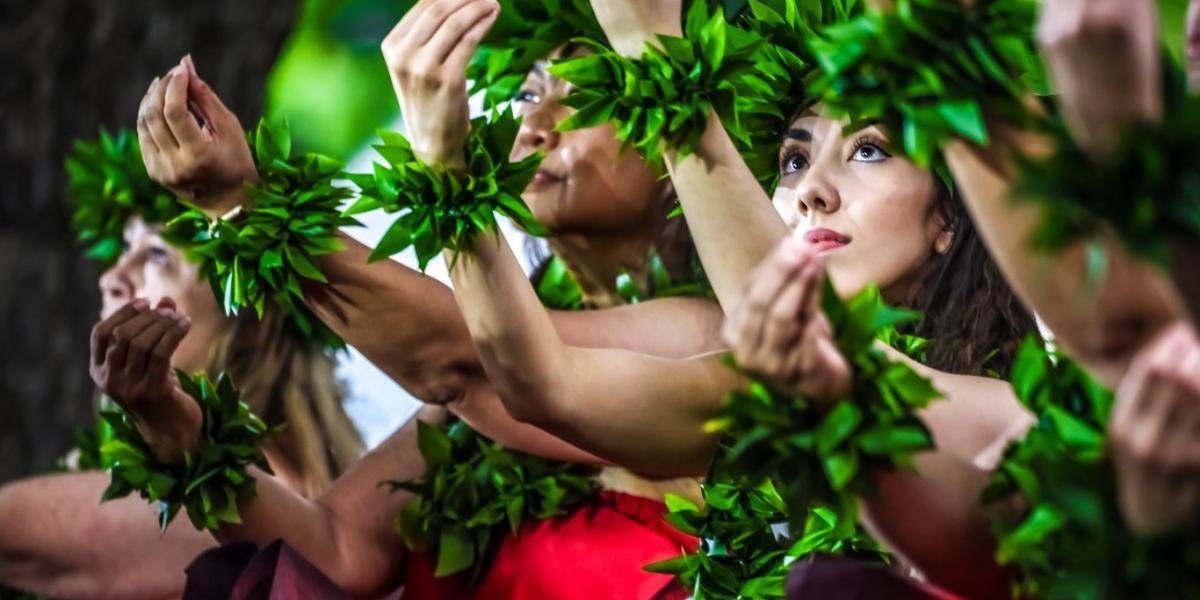 Interior Department’s Office of Native Hawaiian Relations Announces $1 ...