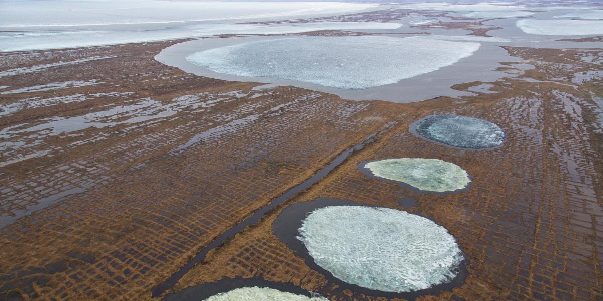 Interior Rescinds 2024 Rule on Alaska Petroleum Reserve, Unlocking ...