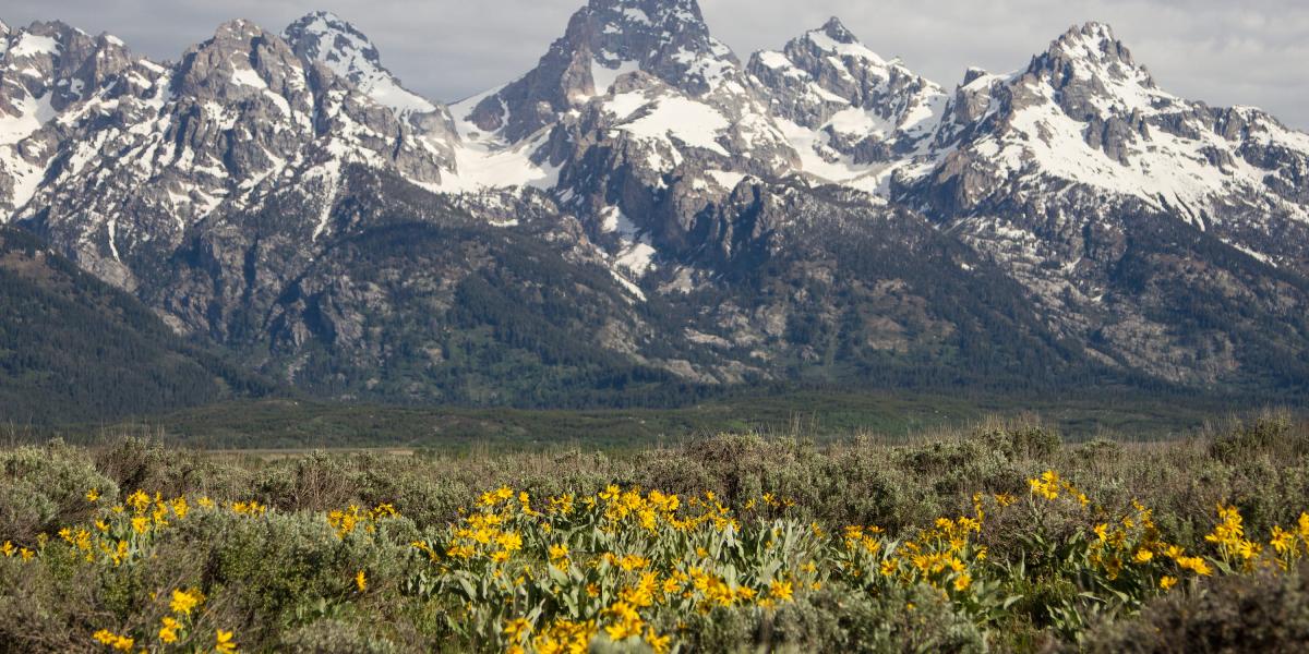 National Park Week 2026 Celebrates America’s Story | U.S. Department of ...
