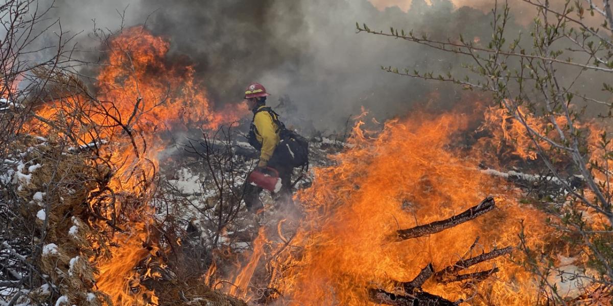 Interior Department Invests Over $10 Million from President Biden’s ...