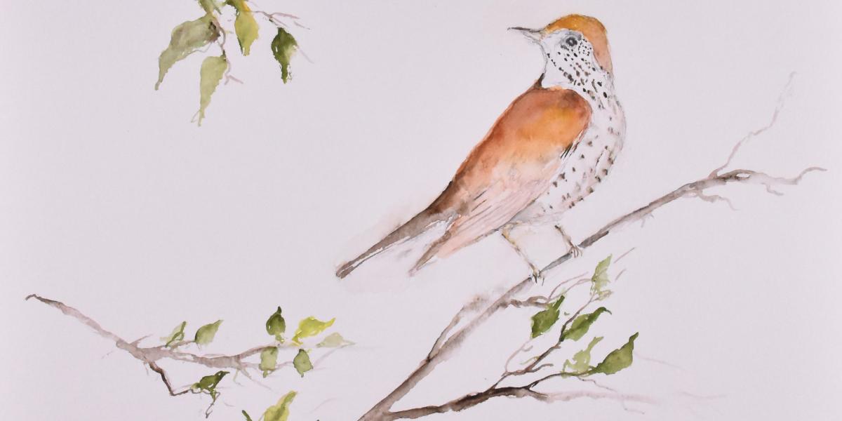 The Sioux Indian Museum to feature Arthur Short Bull in a Special ...