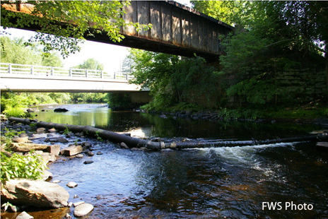 River Restoration Projects, Connecticut | U.S. Department of the Interior